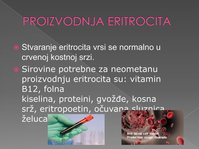 Eritrociti - Tijana Jakovljevic | PPTX
