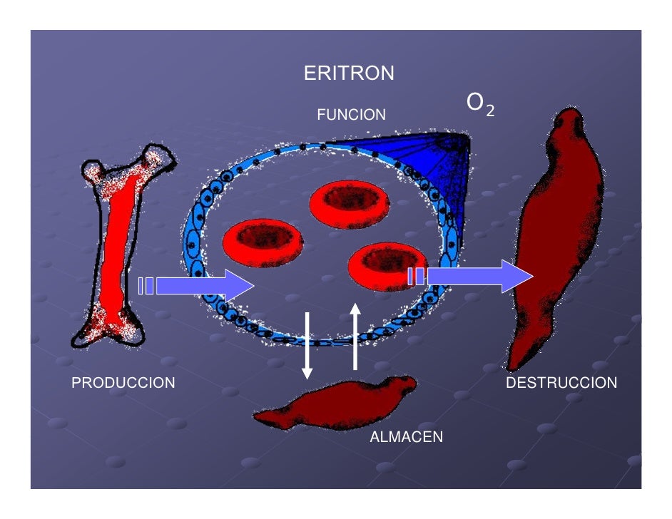 Eritrocitos laboratorio clinico