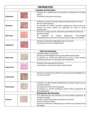 Eritrocitos | DOCX