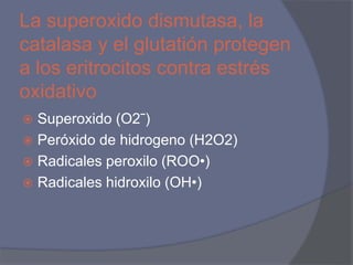 Eritrocitos y leucocitos | PPTX