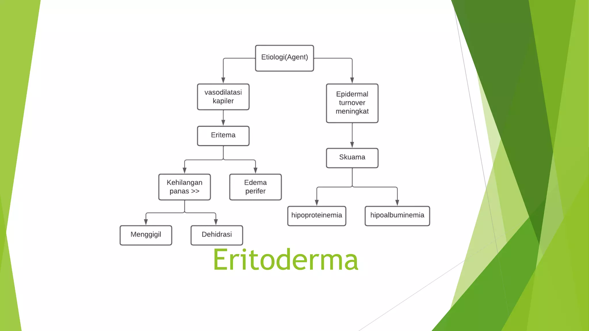 Eritroderma.pptx