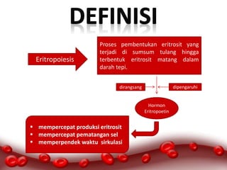 Eritropoiesis | PPTX