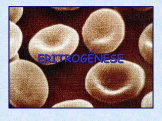 Eritropoiese e fisiologia do eritrócito - 2024.pdf