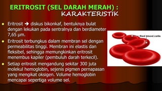 Eritrosit | PPT
