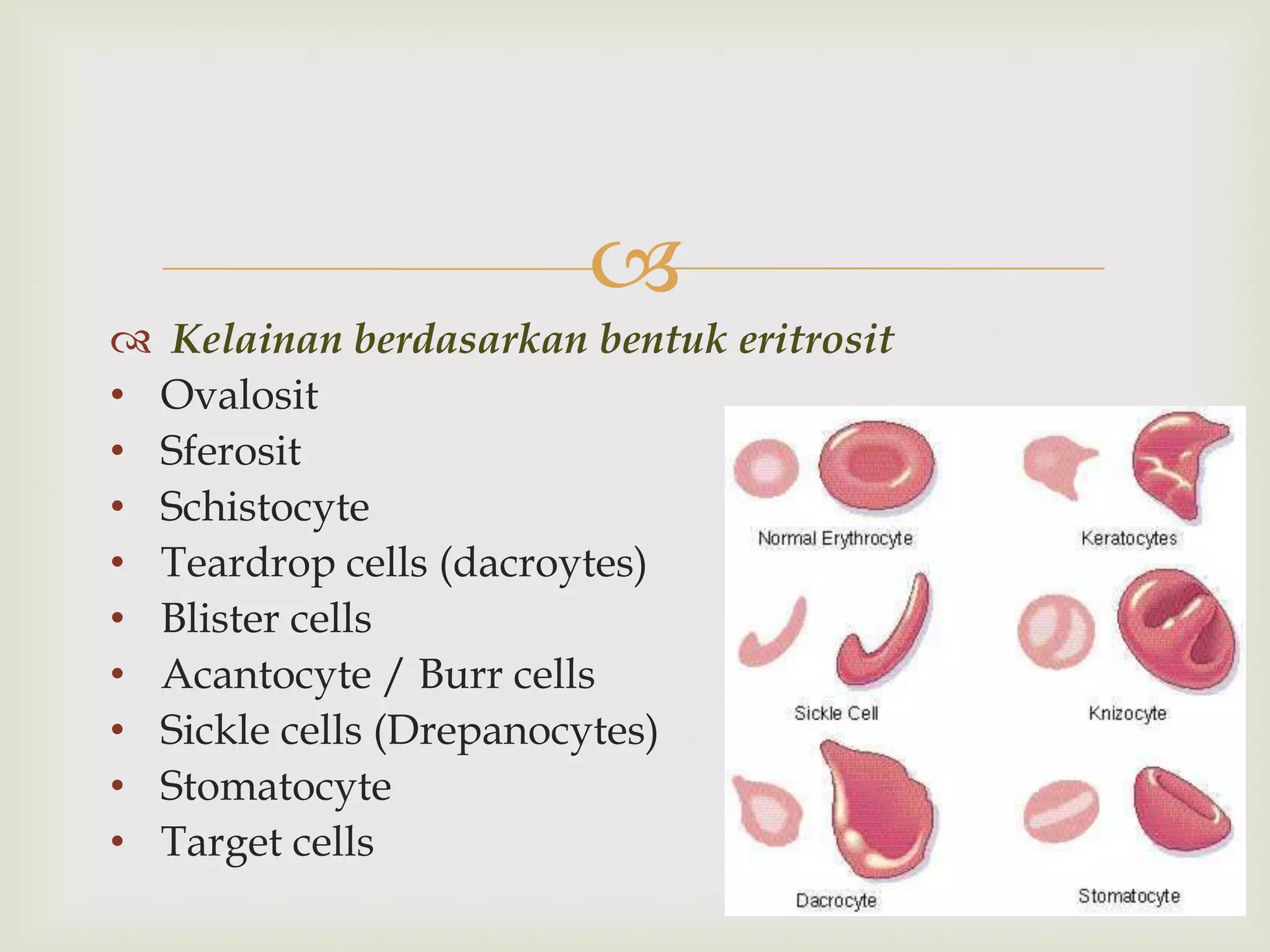 Eritrosit (sel darah merah) | PPT Eritrosit (sel darah merah) | PPT