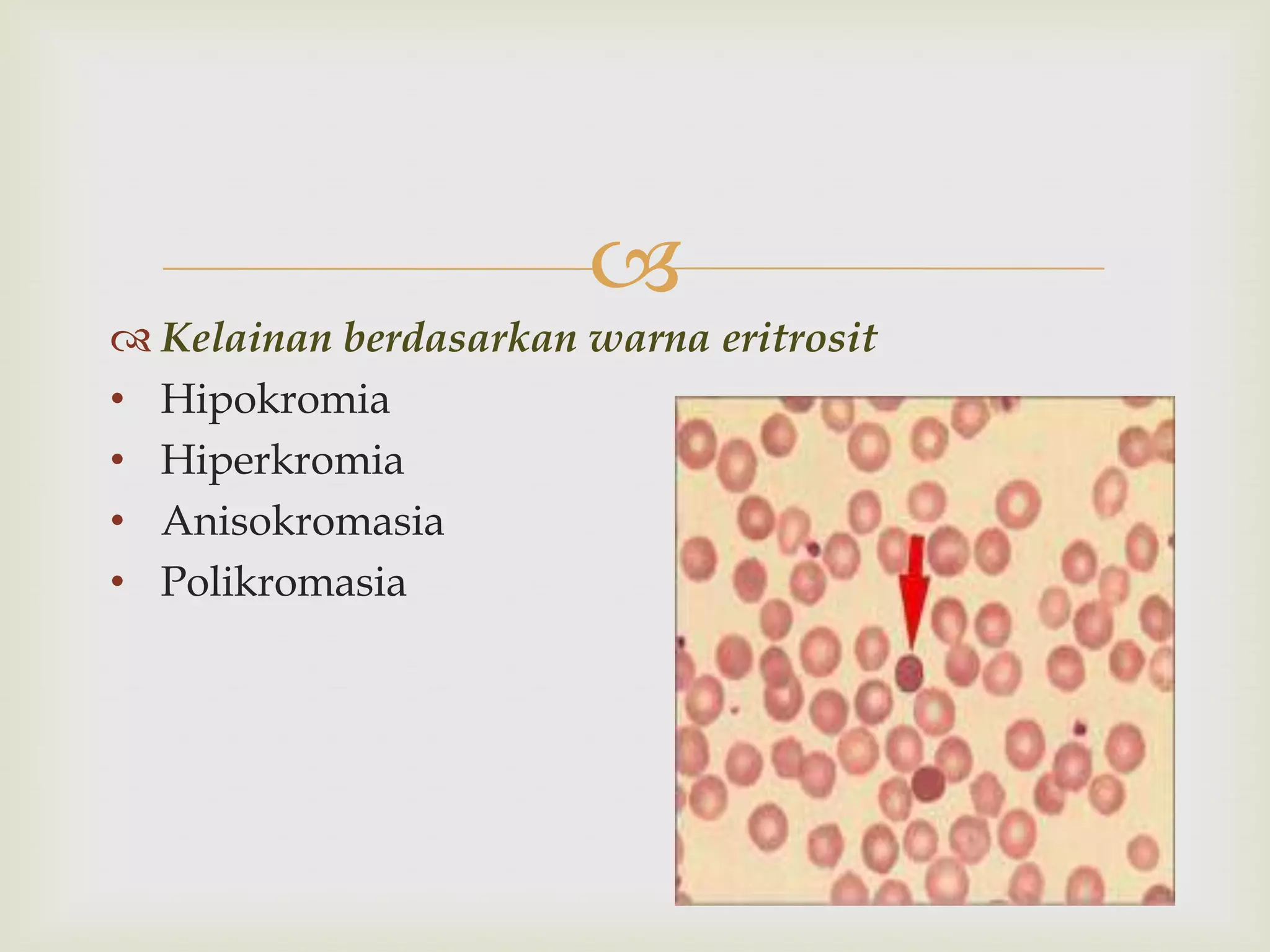 Eritrosit (sel darah merah) | PPTX
