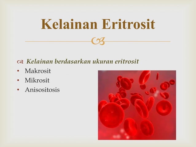 Eritrosit (sel darah merah) | PPT Eritrosit (sel darah merah) | PPT