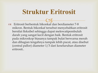 Eritrosit (sel darah merah) | PPTX
