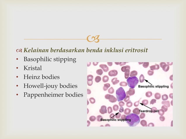 Eritrosit (sel darah merah) | PPT
