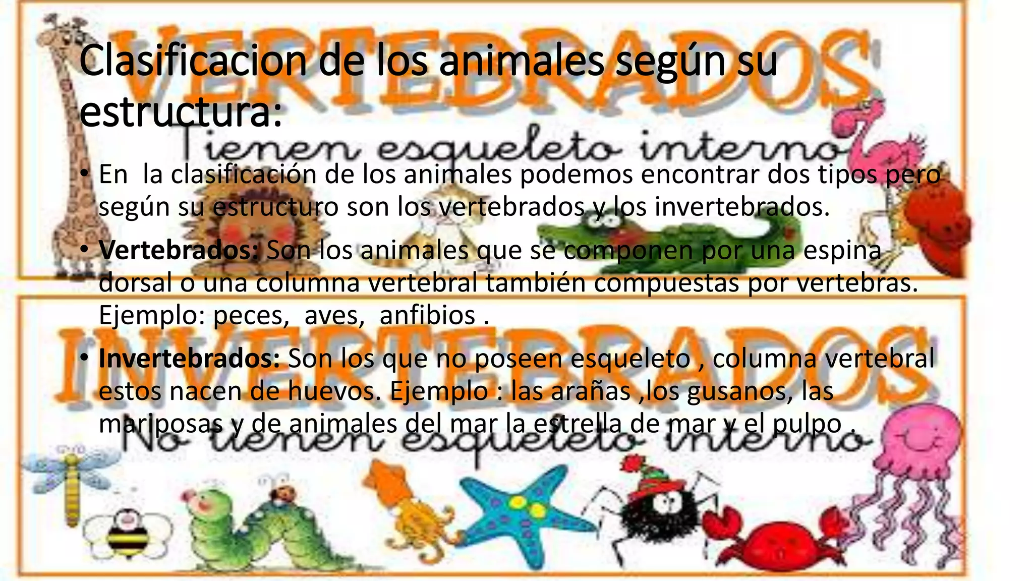 Clasificacion de los animales | PPT