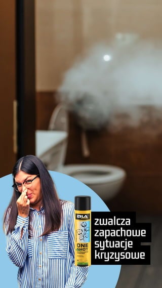 ERLA ONE SHOT - neutralizator powietrza.pdf