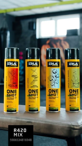 ERLA ONE SHOT - neutralizator powietrza.pdf