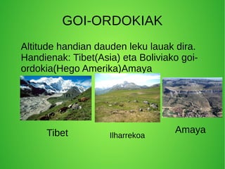 Erliebe motak | ODP