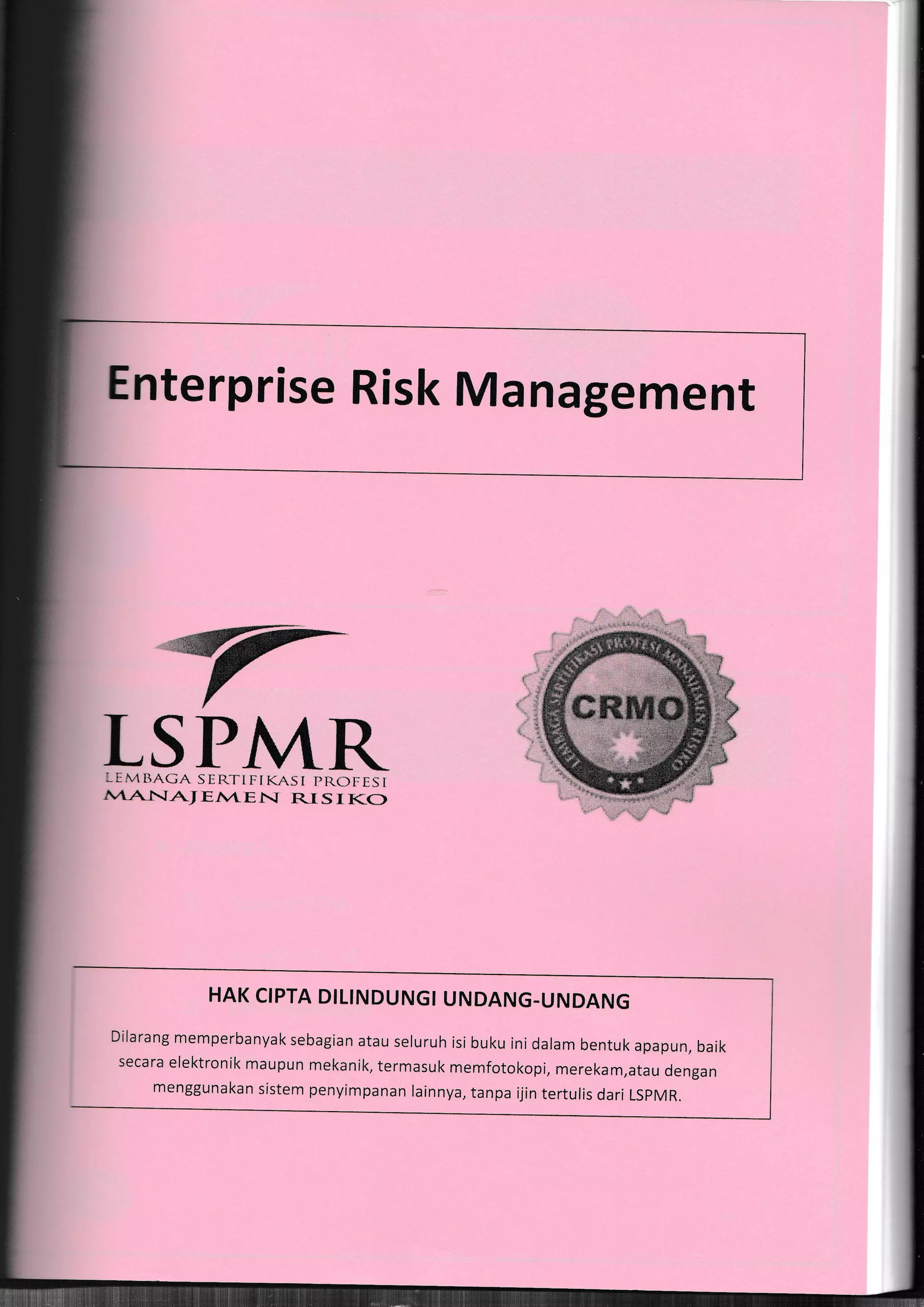 Enterprise Risk Management Pdf