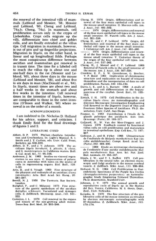 Ermak styela clava cell proliferation j exp zool 1975 | PDF