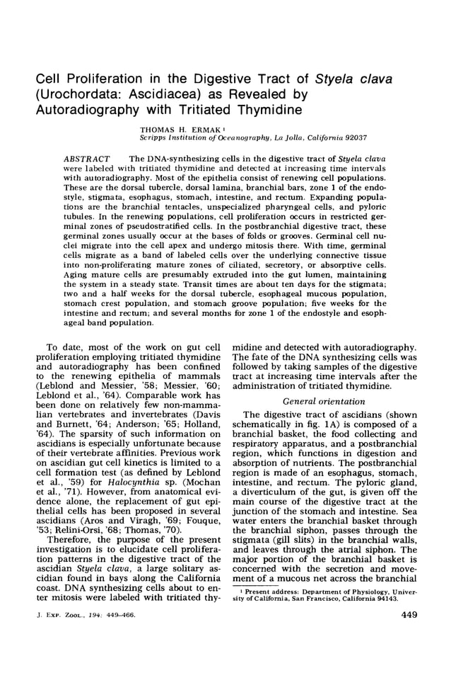 Cell Proliferation in the Digestive Tract of Styela clava Revealed by ...