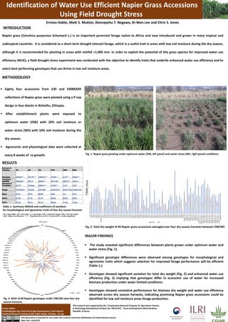 Identification of water use efficient Napier grass accessions using ...