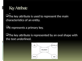 Entity Relationship Management Moder: Introduction | PPTX