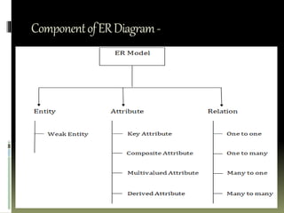 Er model ppt | PPTX