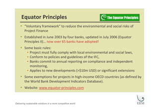 Erm presentation | PDF