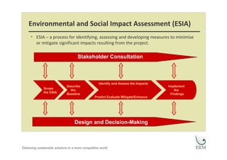 Erm presentation | PDF