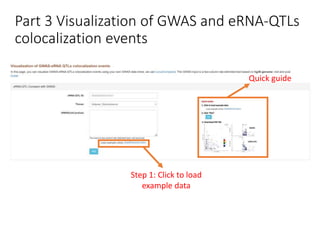 eRNA_QTL_website.pptx