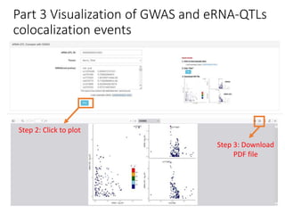 eRNA_QTL_website.pptx