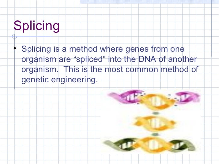 genetic engineering