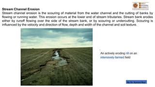 Eroded soil | PPTX