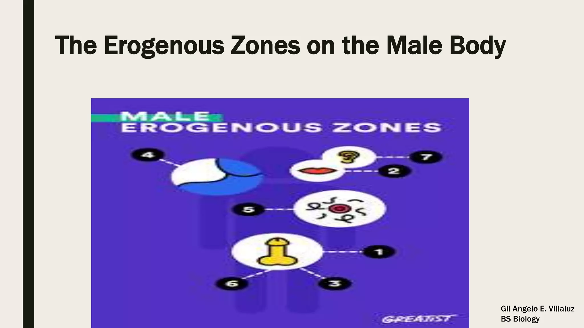 Erogenous zone | PPTX