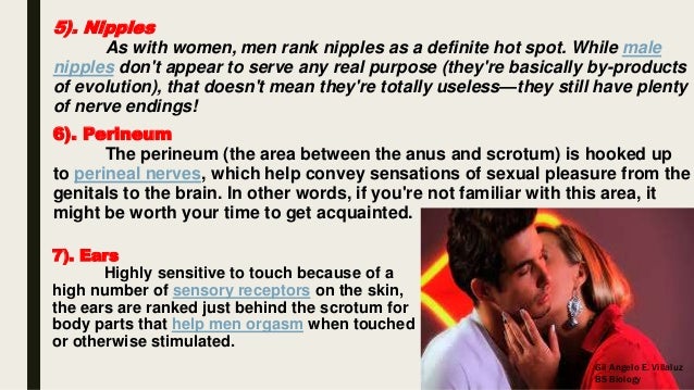 Erogenous Zone