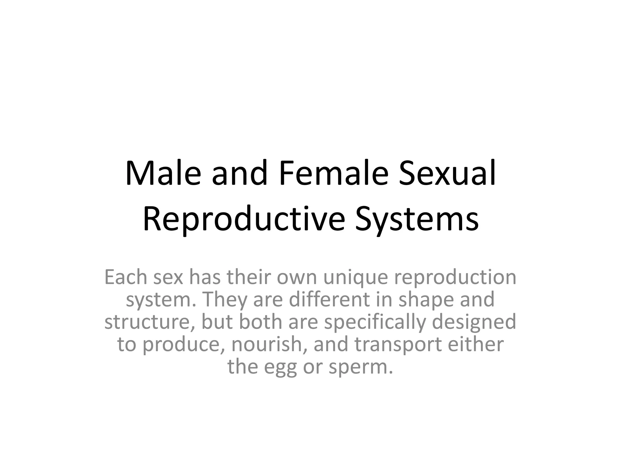 Male and Female reproductive system slide | PPTX