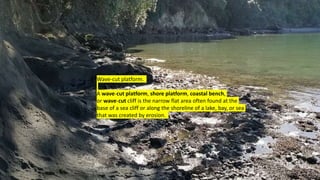 EROSION PROCESSES IN NEW ZEALAND | PPT