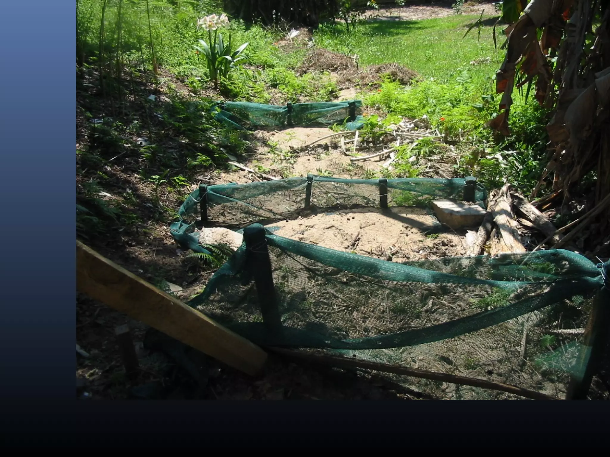 Erosion and Sedimentation Controls training | PPT