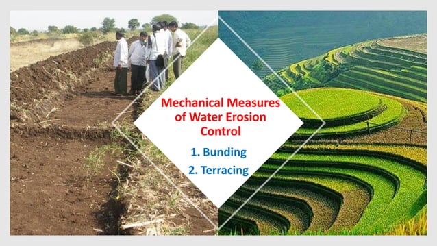 Erosion control measures | PDF | Agriculture | Industries