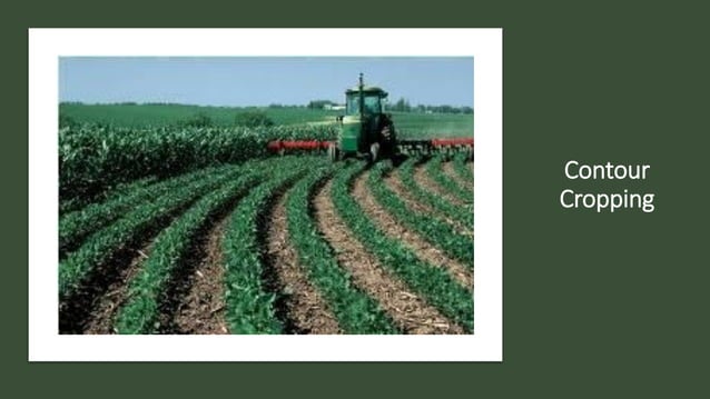 Erosion control measures | PDF | Agriculture | Industries