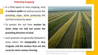 Erosion control measures | PDF
