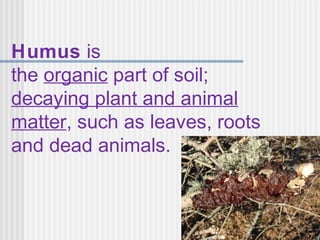 Erosion, deposition, soil intro | PPT