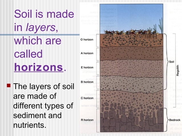 Erosion, deposition, soil intro | PPT