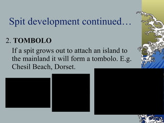 Erosion Landforms Coasts | PPT