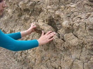 Erosion, Weathering And Mass Movement | PPT