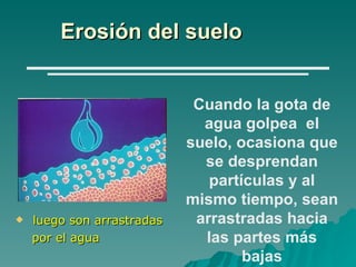 Erosionysusefectos | PPT