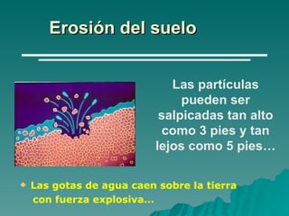 Erosionysusefectos | PPT