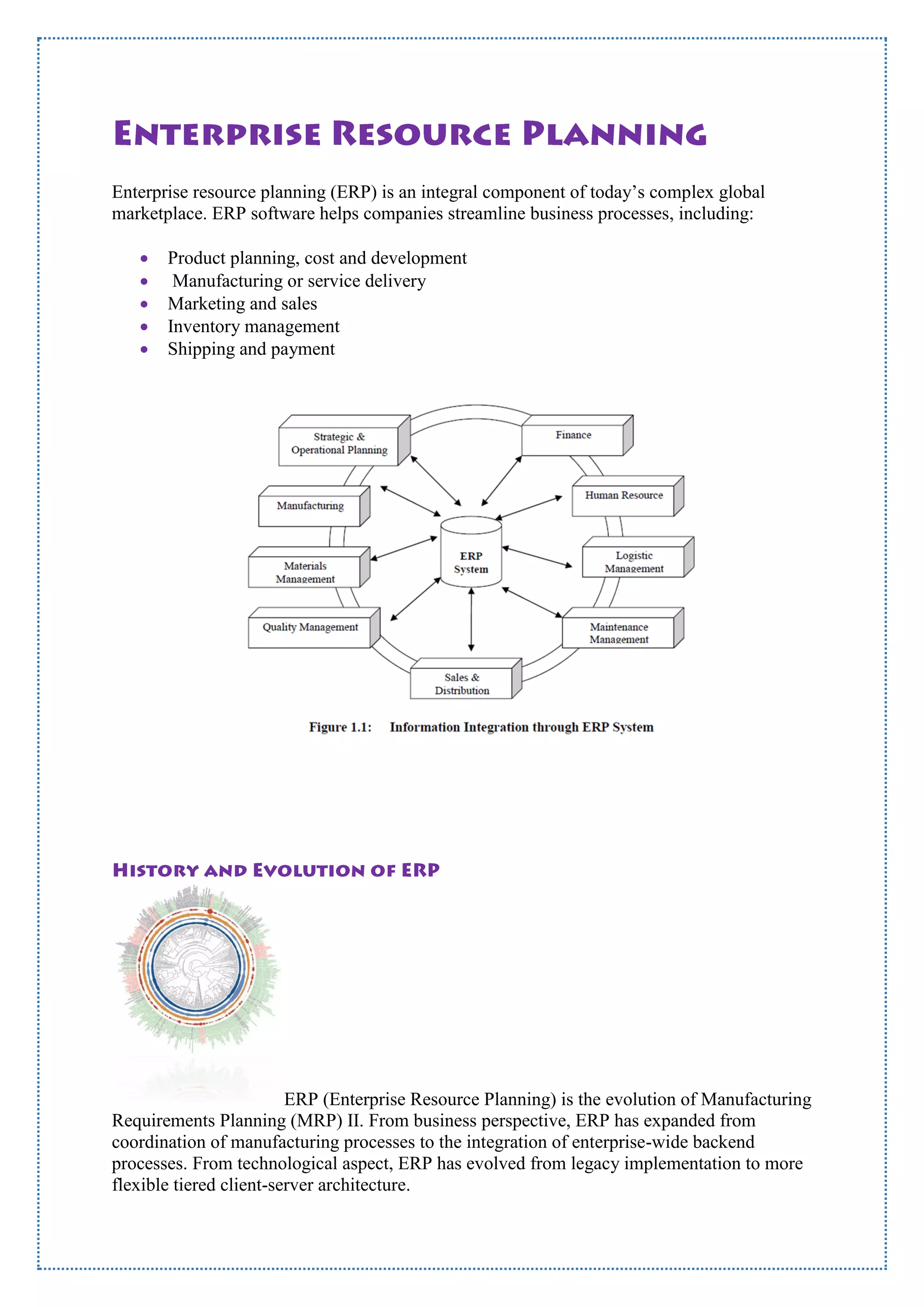 evolution of Erp | PDF