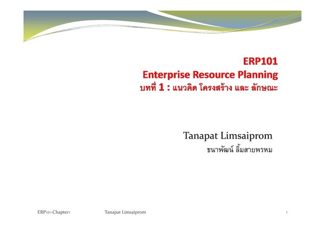 ERP101 Chapter 1 | PDF