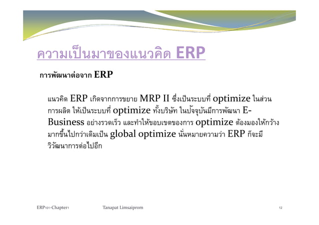 ERP101 Chapter 1 | PDF