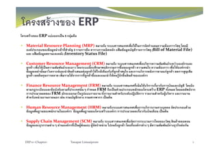 ERP101 Chapter 1 | PDF