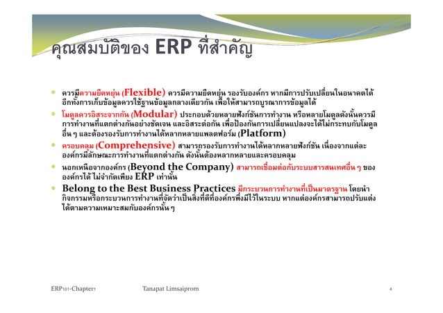 ERP101 Chapter 1 | PDF