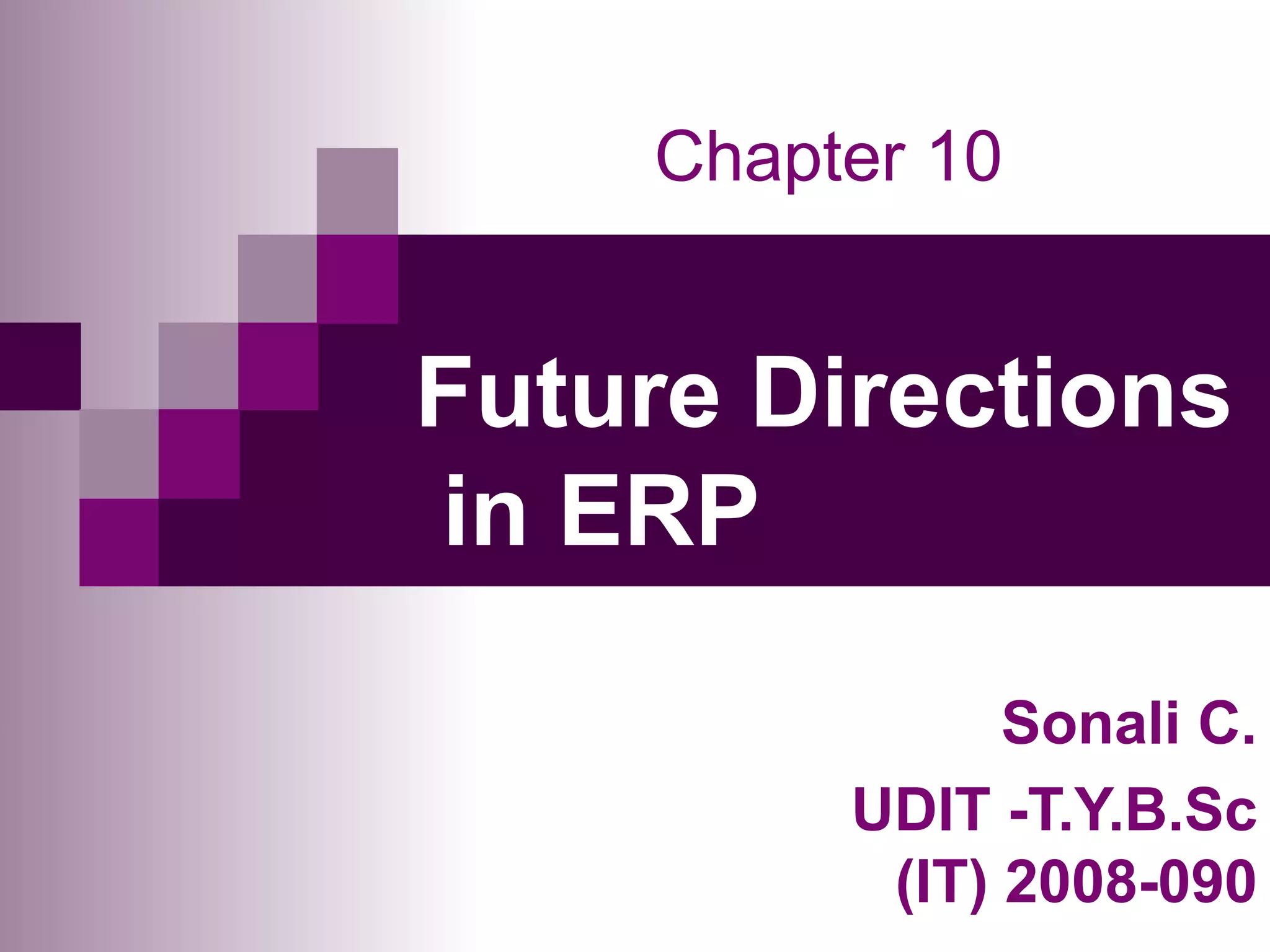 Erp Alex Leon Chapter 10 | PPT | Free Download