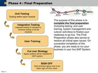 Erpasapimplementation 1214825612078403-9 | PPT